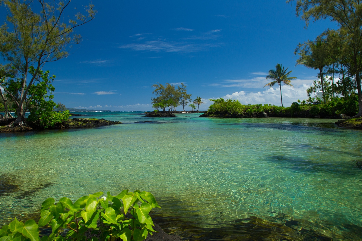 Top Things to Do in Hilo Hawaii (2023) Hawaii Travel with Kids