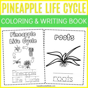 Top Pineapple Facts for Kids | FREE Printable | Hawaii Travel with Kids