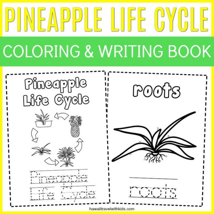 Top Pineapple Facts for Kids | FREE Printable | Hawaii Travel with Kids