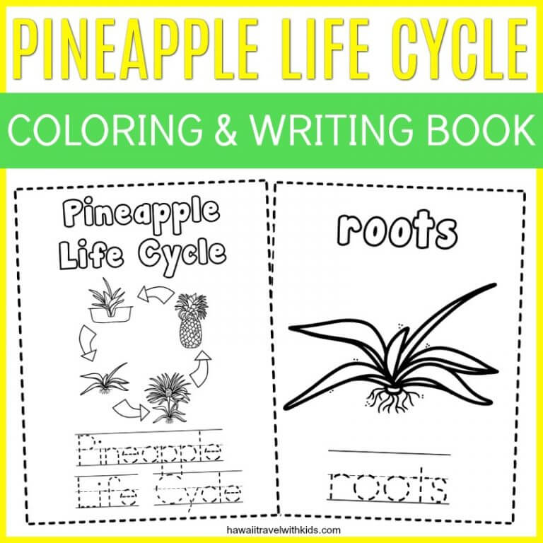 Top Pineapple Facts for Kids | FREE Printable | Hawaii Travel with Kids