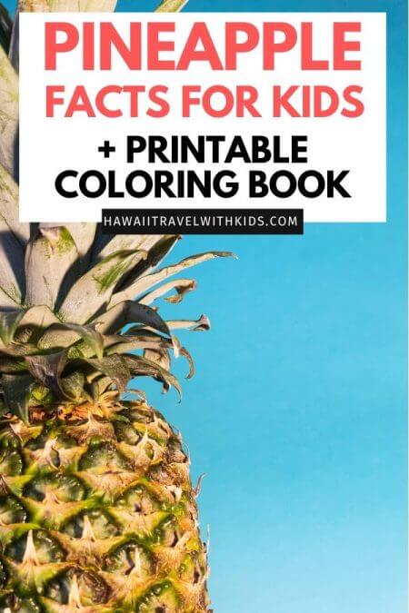 Top Pineapple Facts for Kids | FREE Printable | Hawaii Travel with Kids