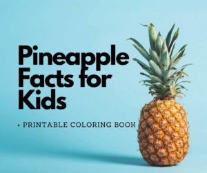 Top Pineapple Facts for Kids | FREE Printable | Hawaii Travel with Kids