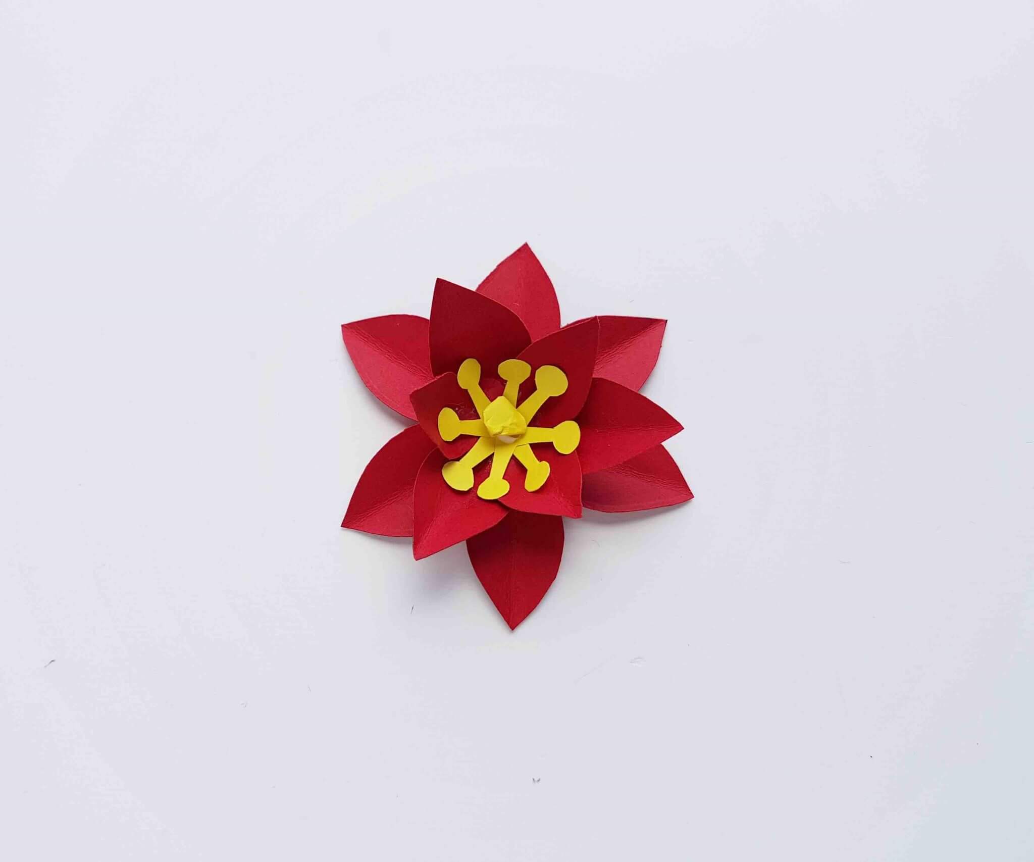 Hawaiian Christmas Decorations: Easy Poinsettia Wreath Craft