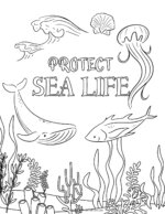 At the Beach Worksheets for Kids - Hawaii Travel with Kids