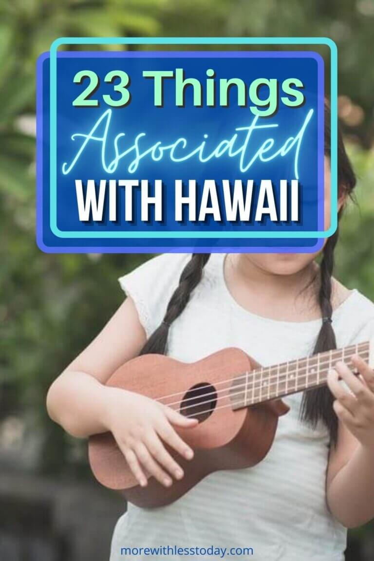 23 Things Associated with Hawaii - Hawaii Travel with Kids