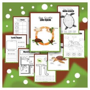 Free Printable Sea Turtle Activity Pack for Kids - Hawaii Travel with Kids