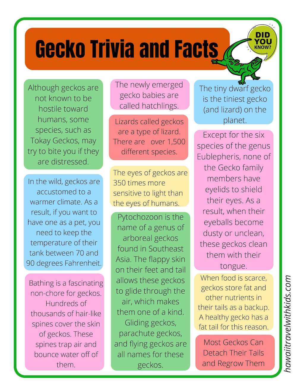 Learn About Geckos of Hawaii + Free Hawaii Gecko Printables for Kids