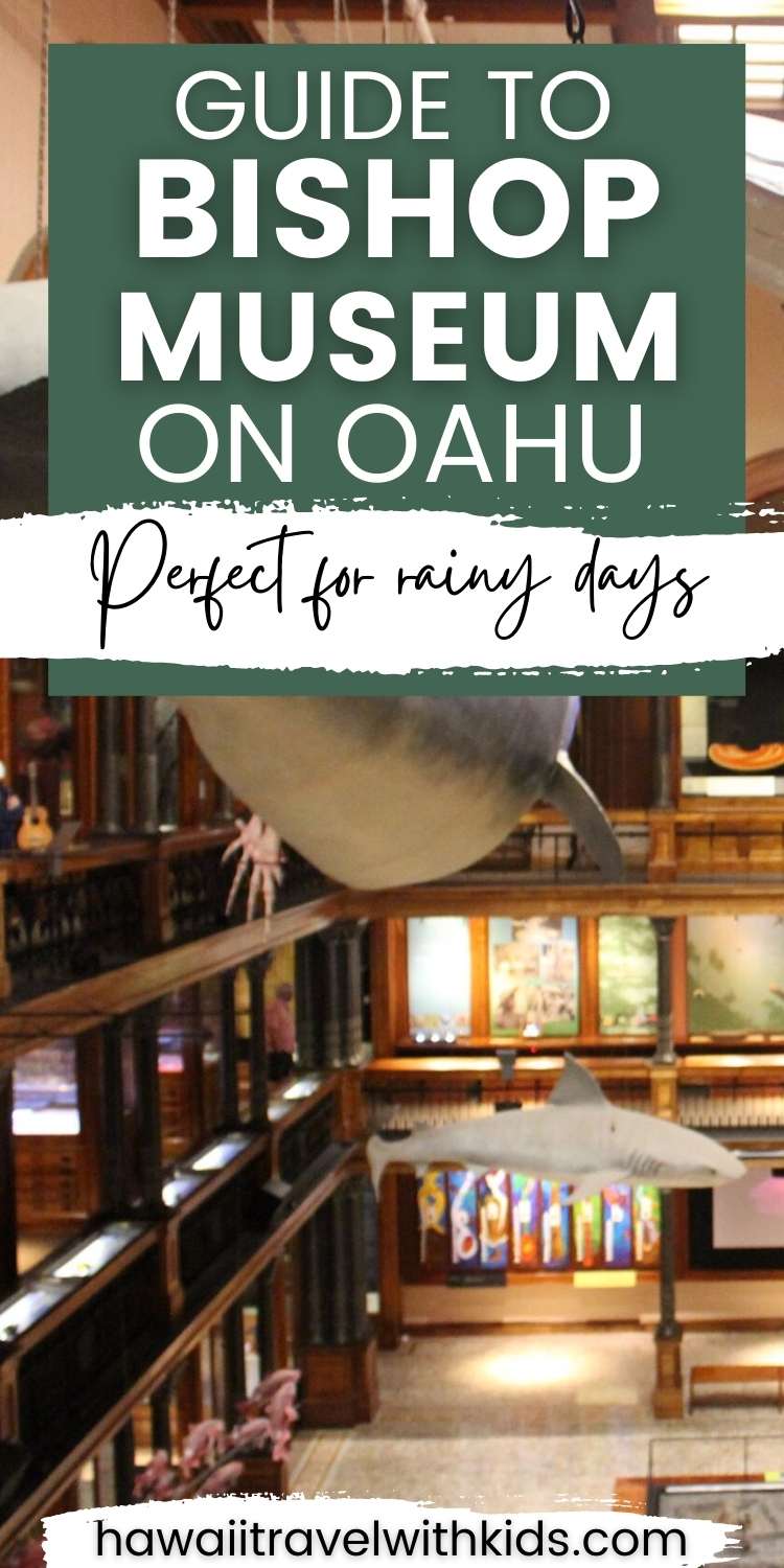 Ultimate Guide for Families Visiting the Bishop Museum on Oahu