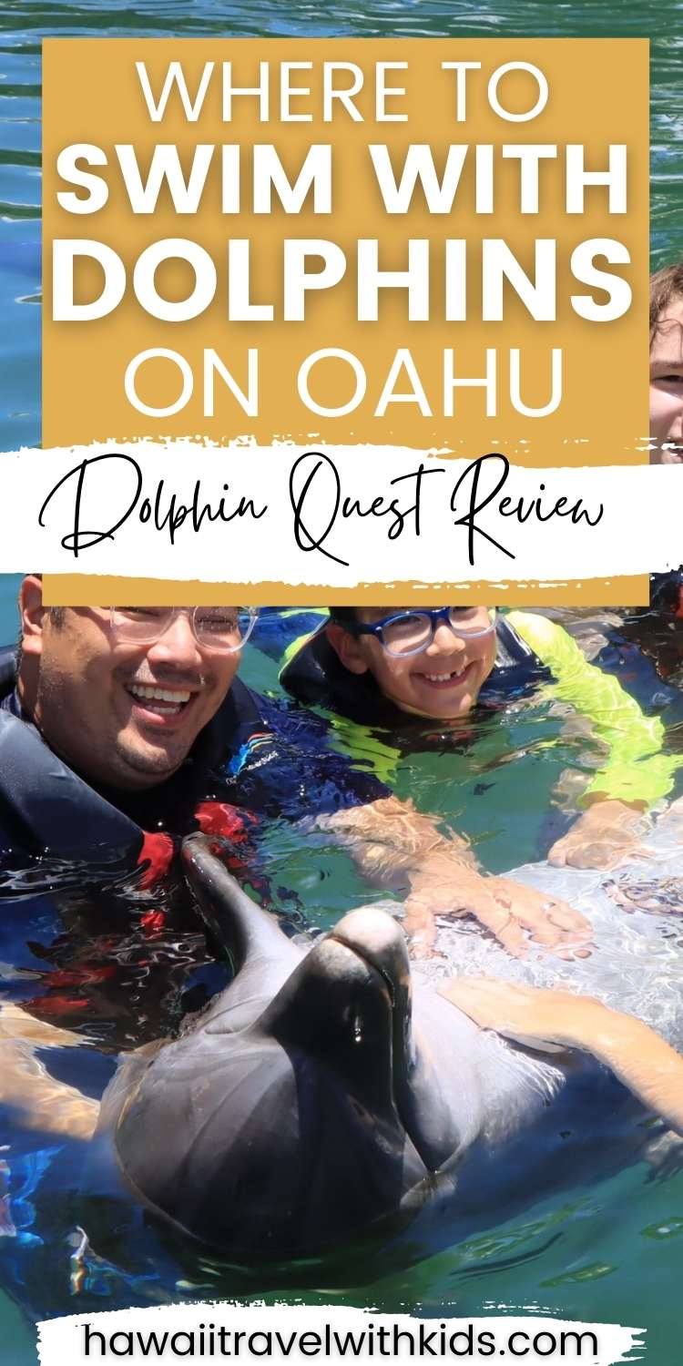 Where to Swim with Dolphins on Oahu: Dolphin Quest Review