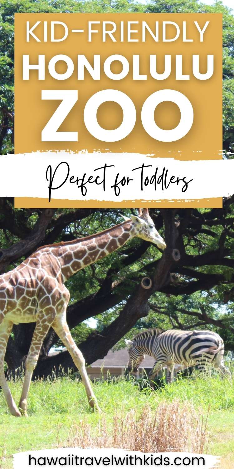 Ultimate Guide to the Best Experience at Honolulu Zoo with Kids