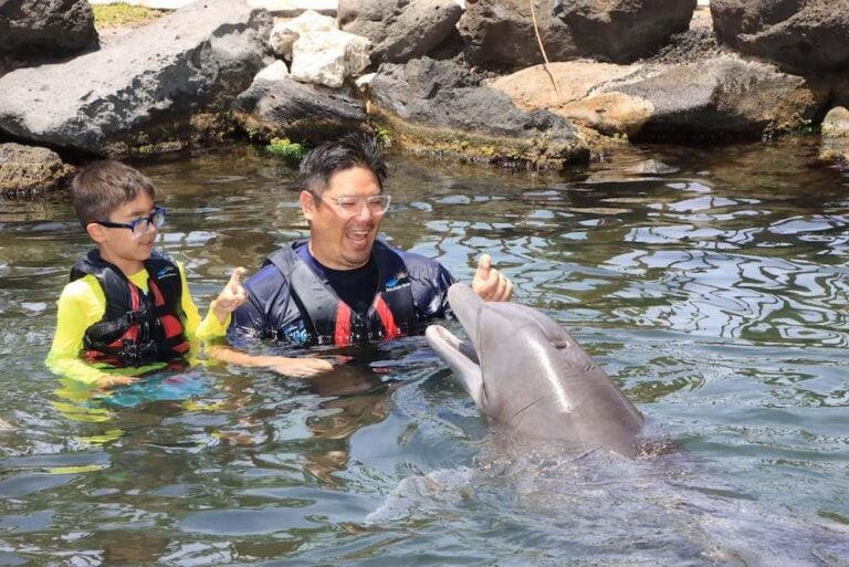Where to Swim with Dolphins on Oahu: Dolphin Quest Review
