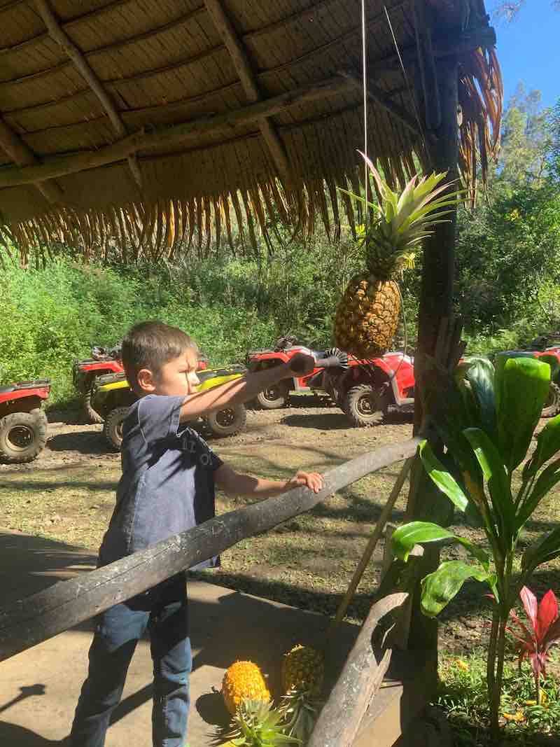 Aloha Adventure Farm: Big Island ATV Tour Review (2023)