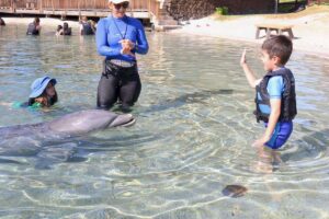 Swim with Dolphins on the Big Island: Dolphin Quest Review
