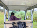 Big Island Chocolate Tour at Lavaloha Chocolate Farm (2023)