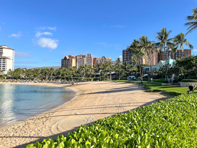 Top Oahu Tours Offering Transportation From Aulani for Families