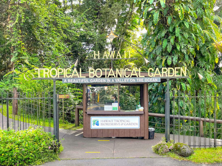 Why the Hawaii Tropical Bioreserve & Garden is a Must-See in Hilo