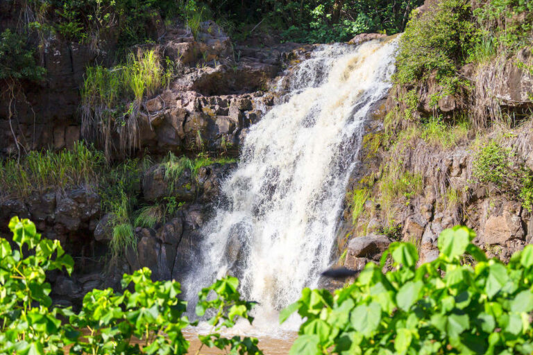 The Ultimate Nature Lover’s Guide to Waimea Valley on Oahu