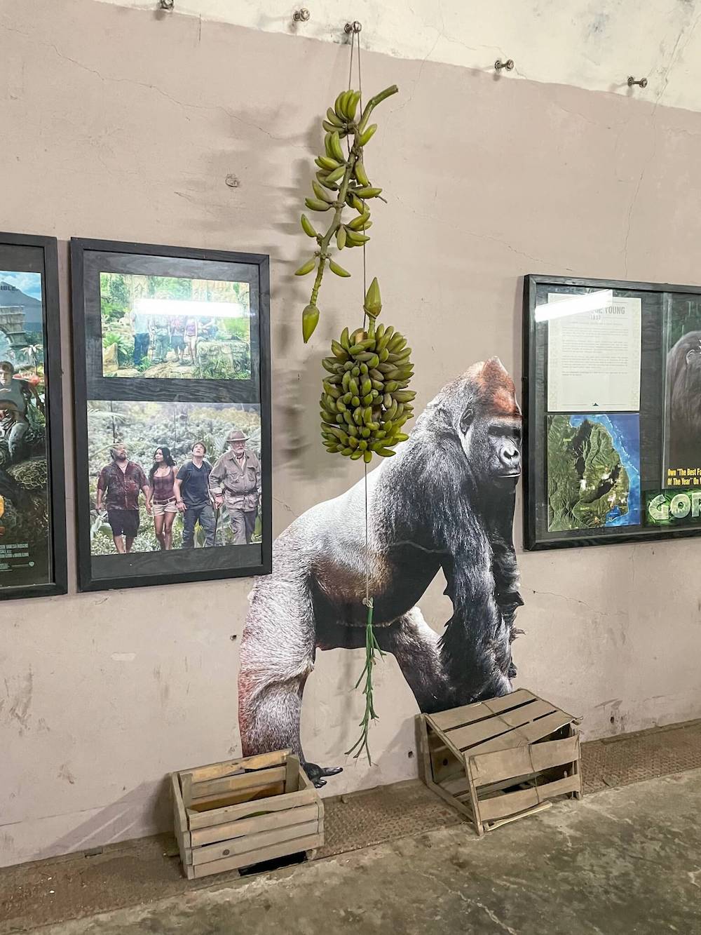 Oahu Activities: Kualoa Ranch Movie Tour Review (2023)