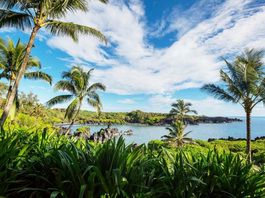 6 Best Maui Vacation Rentals For Large Groups 2023 6-best-maui-vacation-rentals-for-large-groups-2023