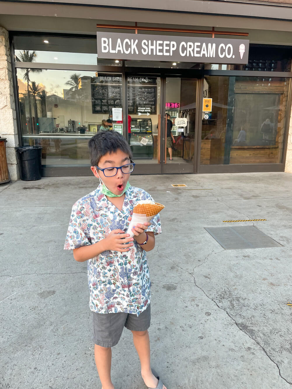 13 Must-Try Oahu Ice Cream Spots for a Sweet Treat (2024)