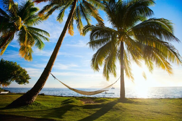 12 Facts about Maui You Probably Didn't Know (2023)