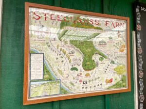 Is the Kauai Chocolate Farm Tour Worth It? (2023)