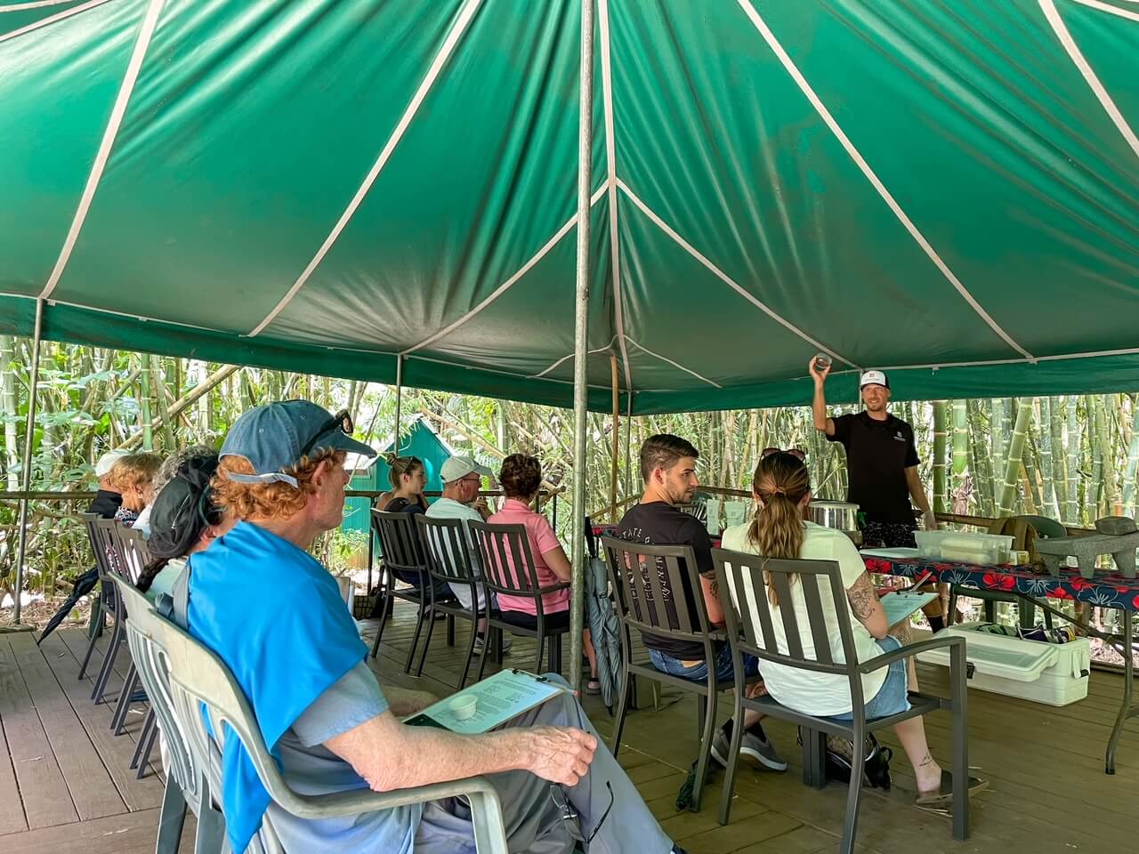 Is the Kauai Chocolate Farm Tour Worth It? (2023)