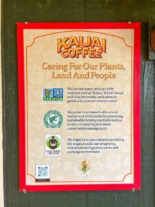Is It Worth Doing a Kauai Coffee Farm Tour? (2023)