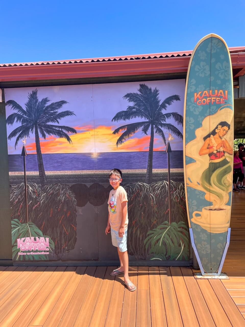 Is It Worth Doing a Kauai Coffee Farm Tour? (2023)