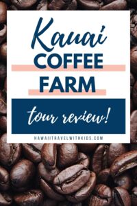 Is It Worth Doing a Kauai Coffee Farm Tour? (2023)