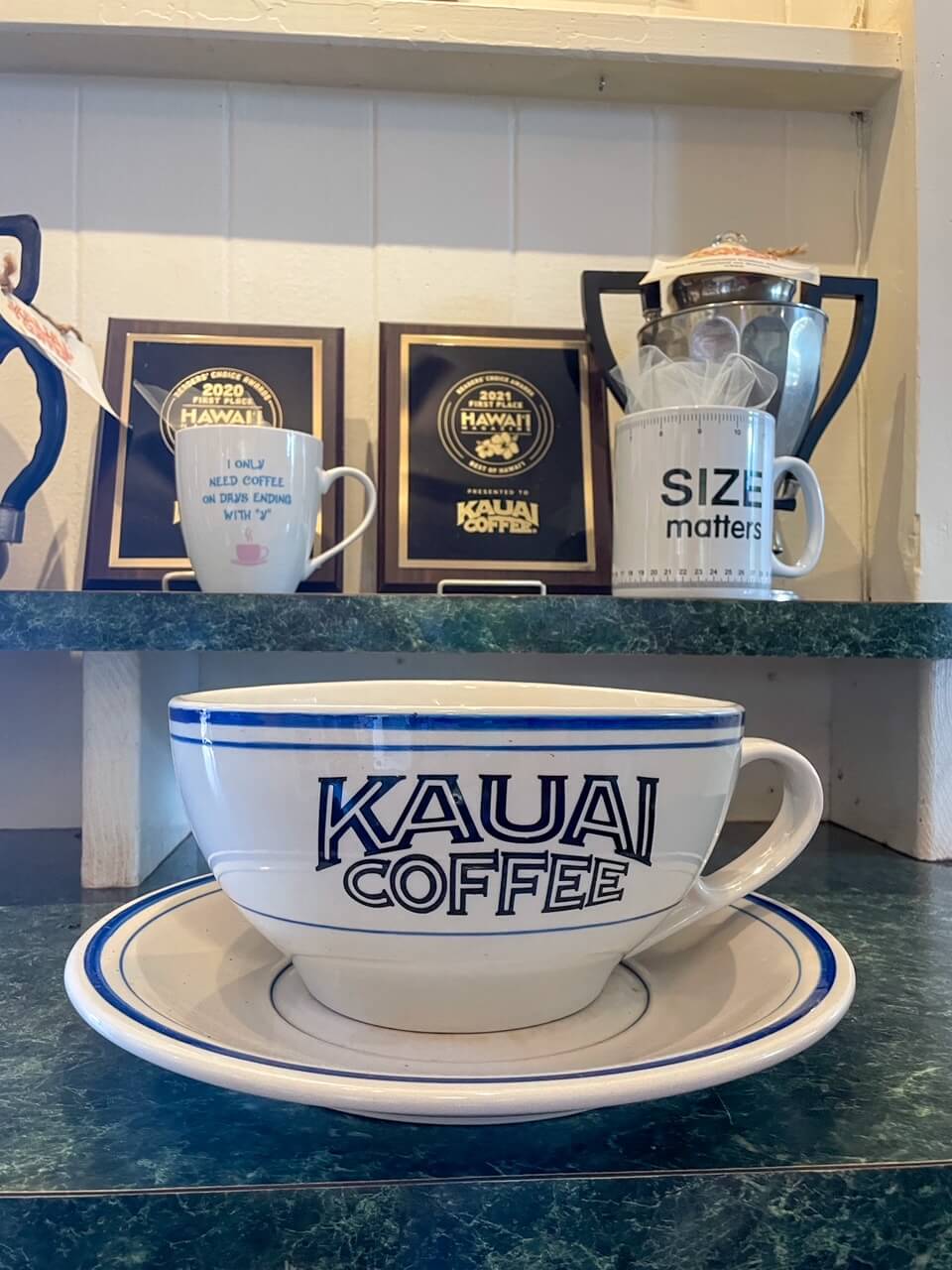 Is It Worth Doing a Kauai Coffee Farm Tour? (2023)