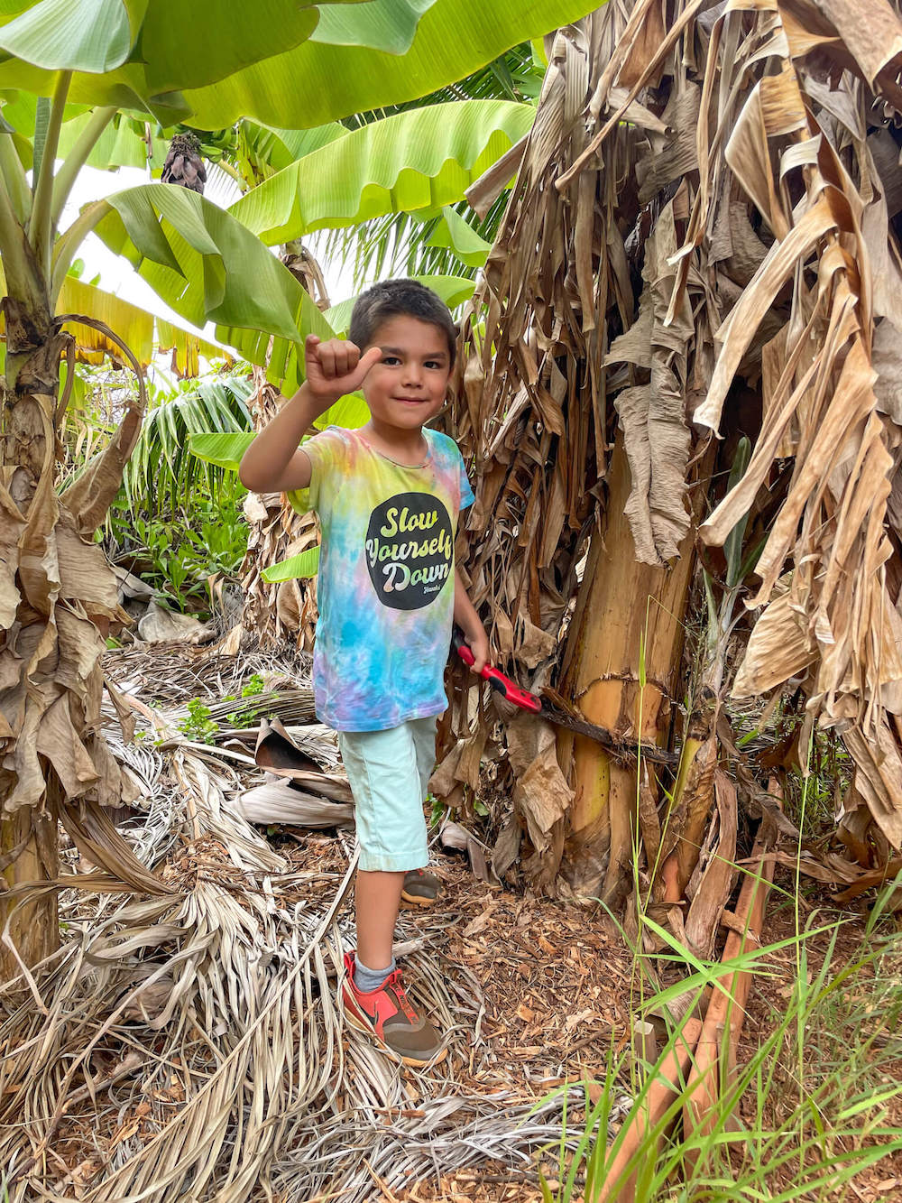 Kalalea View Farm: Amazing Kid-Friendly Kauai Farm Tour (2023)