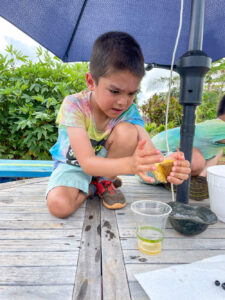 Kalalea View Farm: Amazing Kid-Friendly Kauai Farm Tour (2023)