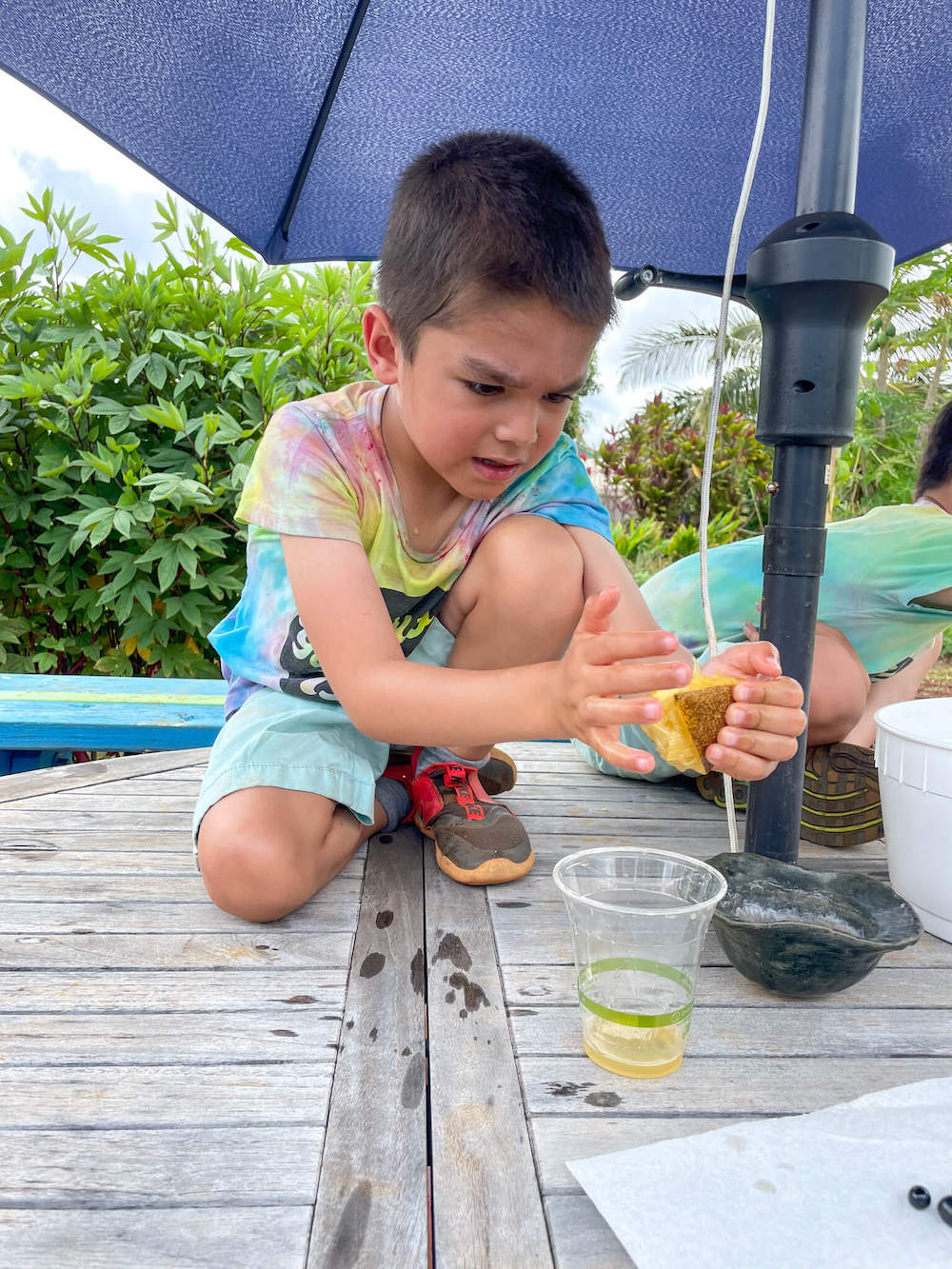 Kalalea View Farm: Amazing Kid-Friendly Kauai Farm Tour (2023)