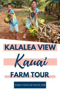 Kalalea View Farm: Amazing Kid-Friendly Kauai Farm Tour (2023)