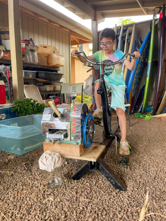 Kalalea View Farm: Amazing Kid-Friendly Kauai Farm Tour (2023)