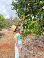 Kalalea View Farm: Amazing Kid-Friendly Kauai Farm Tour (2023)