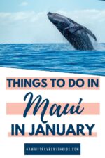 Maui in January: Top Activities and Attractions to Enjoy (2024)