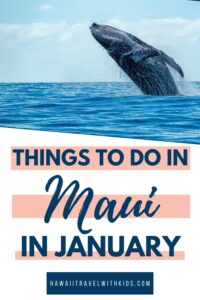Maui in January: Top Activities and Attractions to Enjoy (2024)