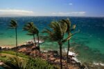 Best Things to do in Maui in November (2023)