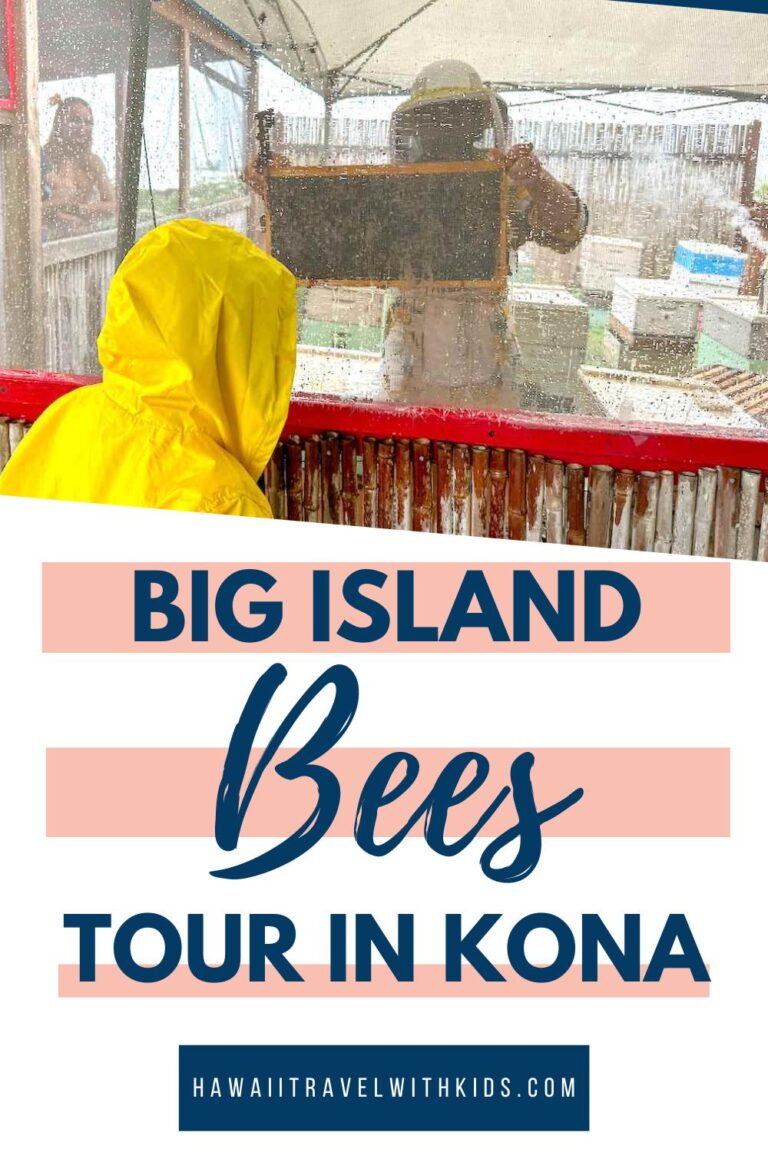 Blissful Big Island Bees Tour in Kona Review (2023)