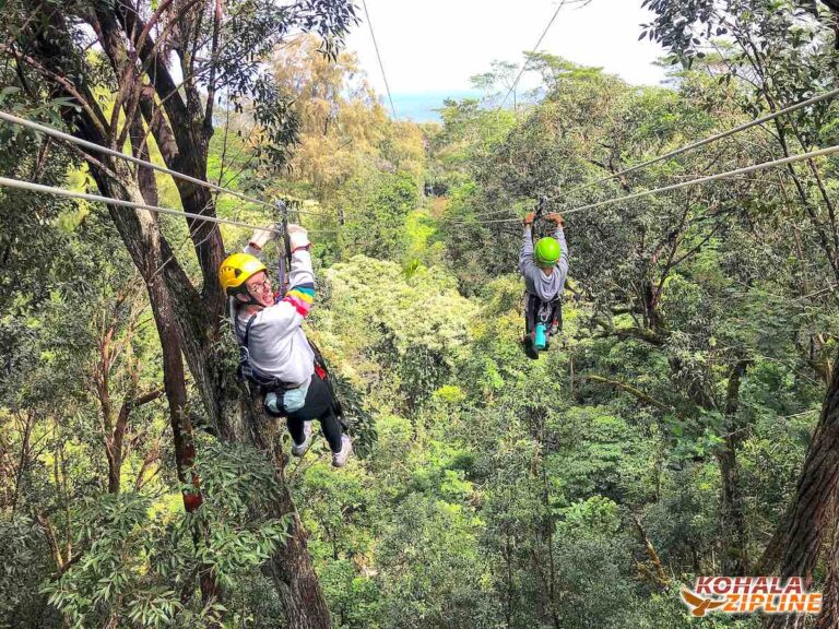 Ziplining in Hawaii: Where to Find the Best Zipline Courses (2023)
