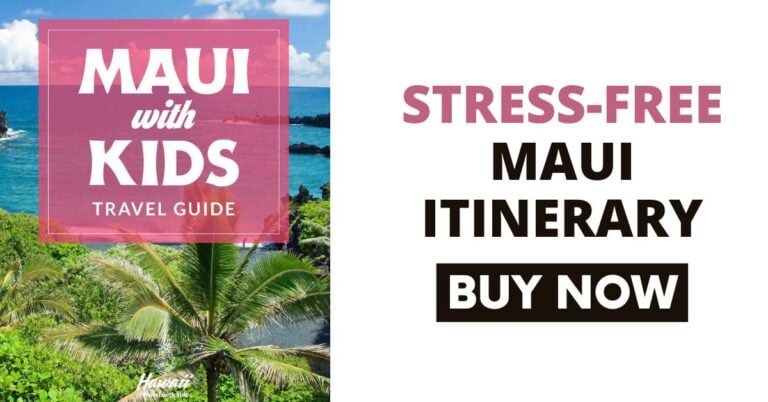 16 Must-Do Summer Activities on Maui in August (2024)