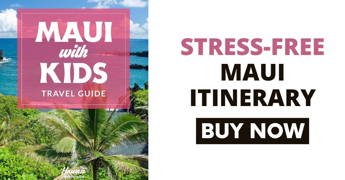 16 Ways to Enjoy Maui in December With Your Family (2024)