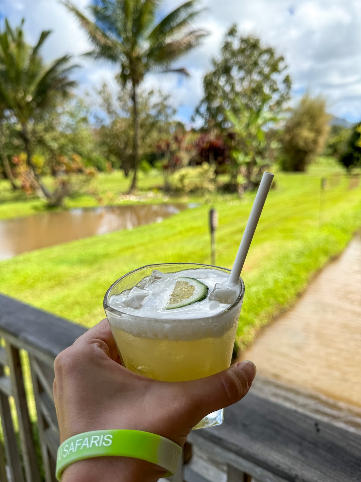 Is the Kauai Rum Safari Worth It?
