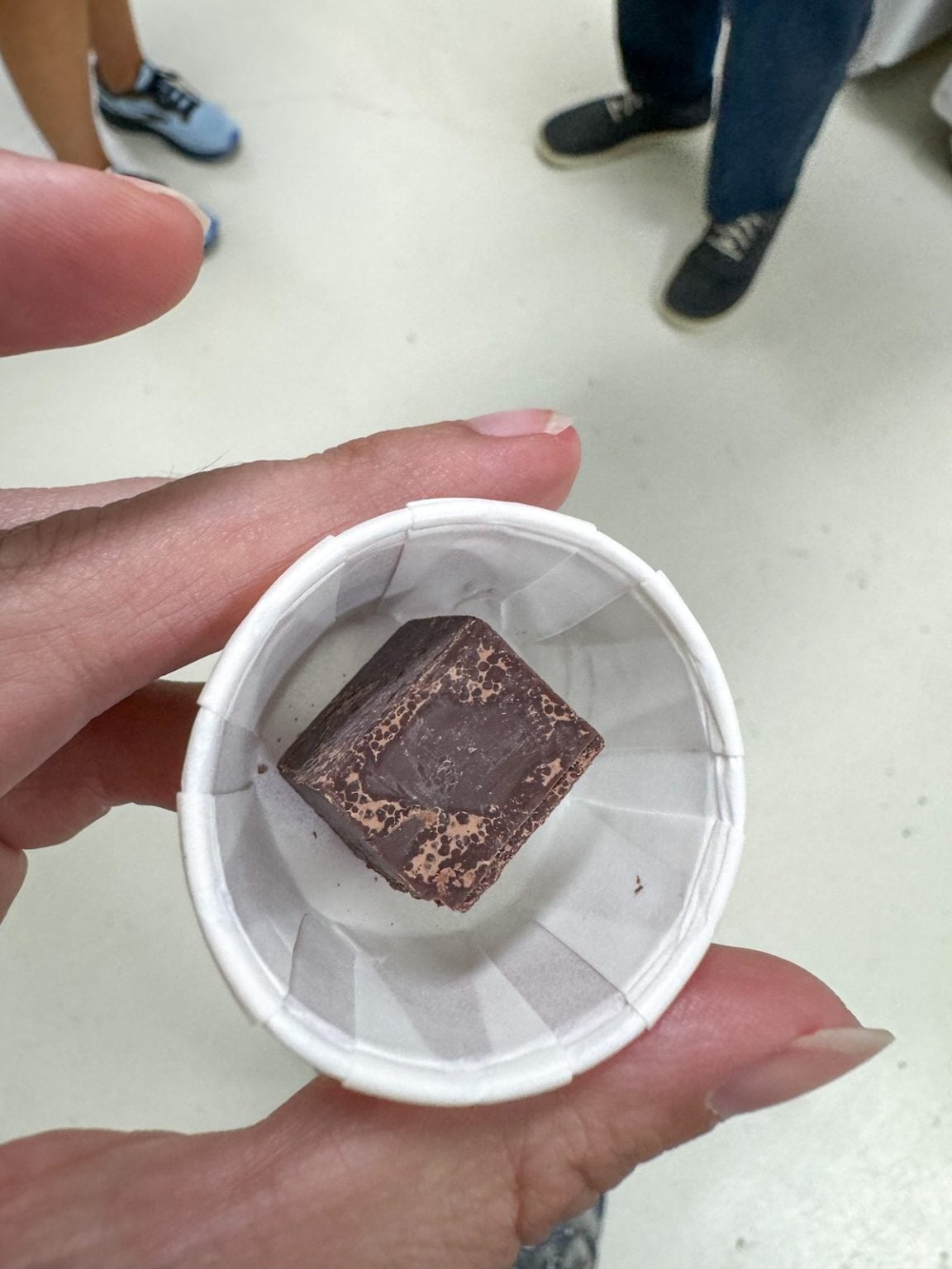 Is the Maui Chocolate Tour Worth It?