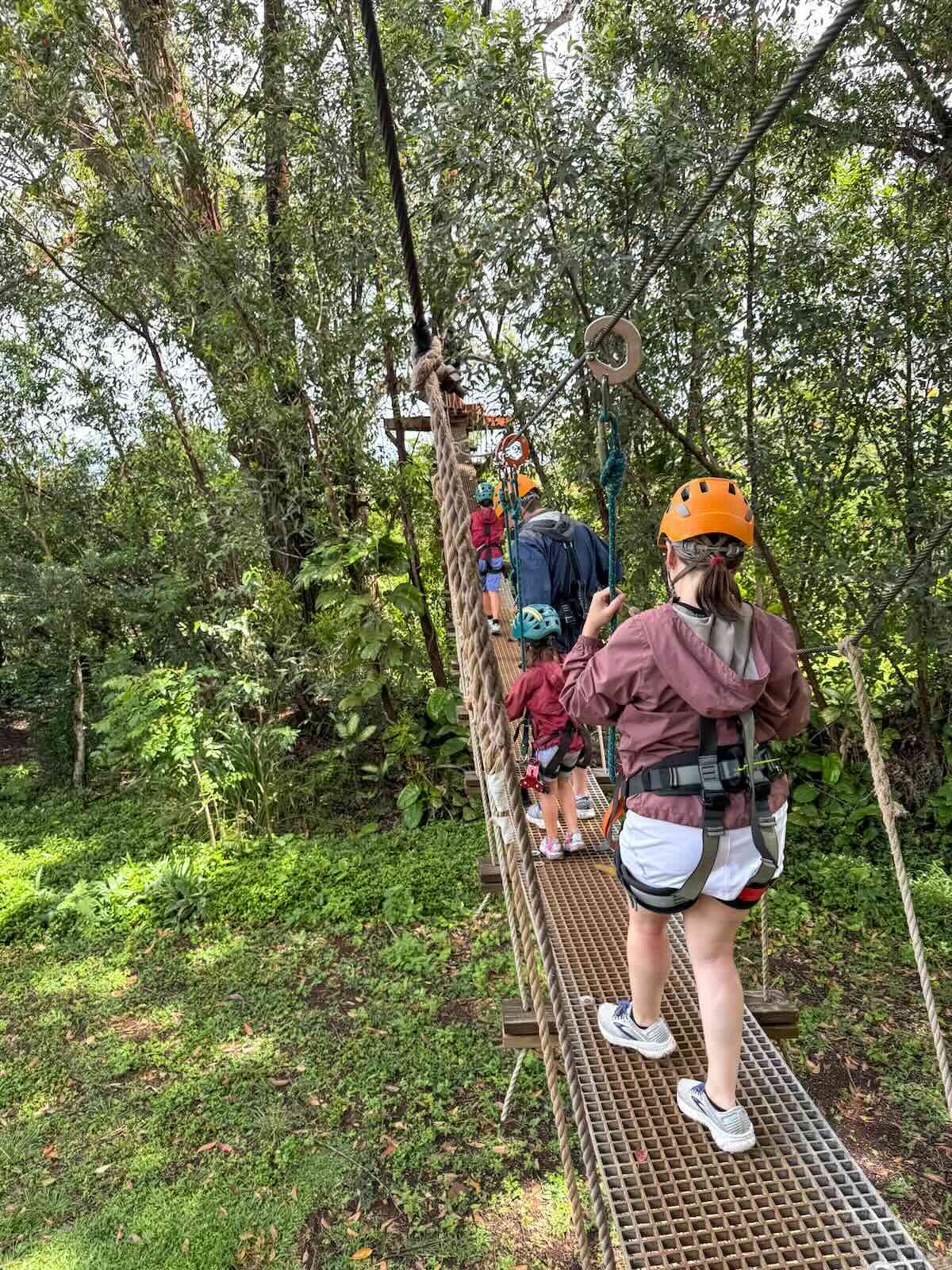 Discover the Gentle Thrill of Maui’s NorthShore Zipline—Perfect for ...