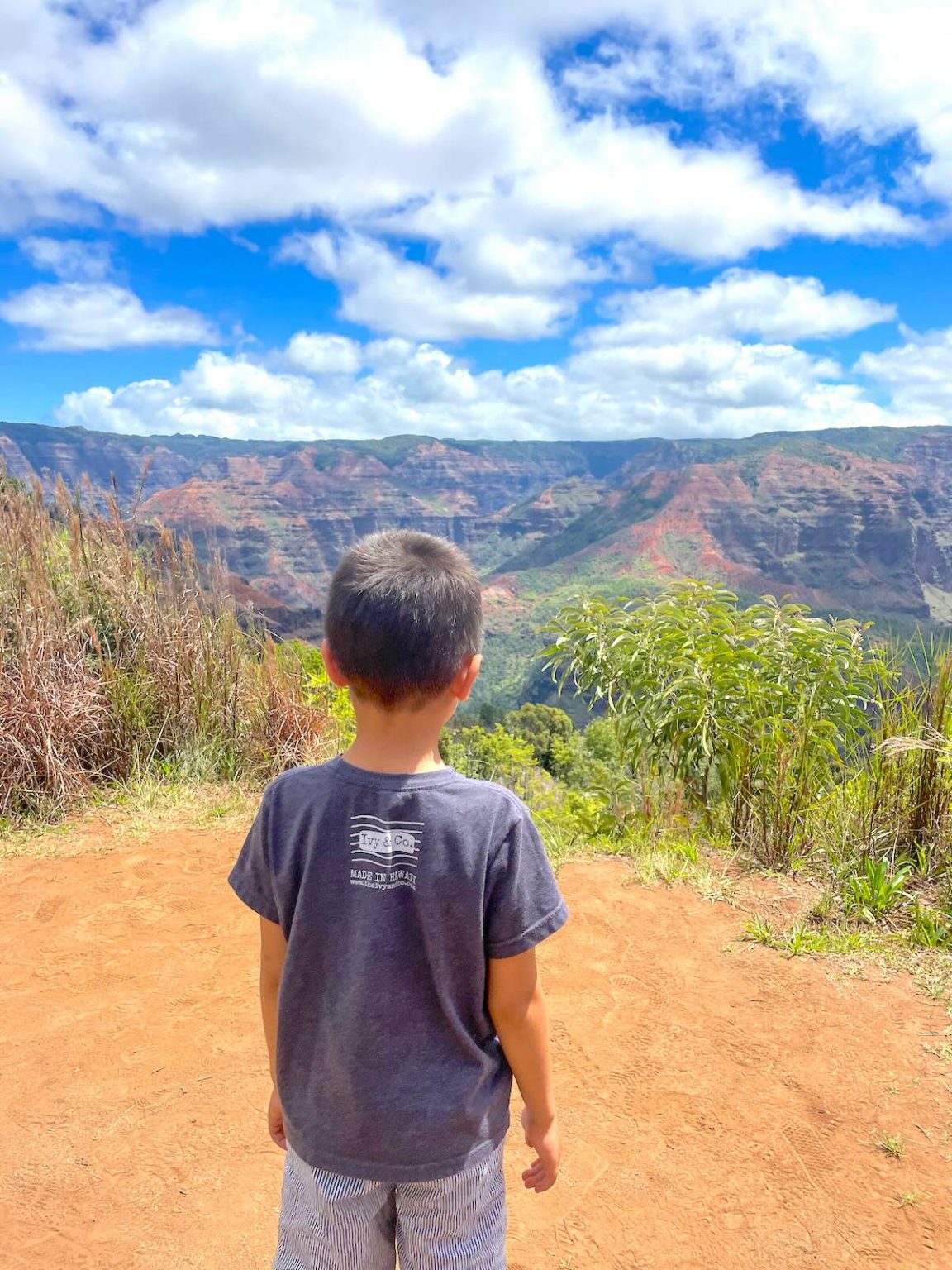 12 Hawaiian Landmarks You Can't Miss!