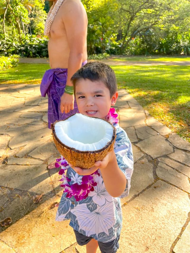Toa Luau: North Shore Oahu Luau Review