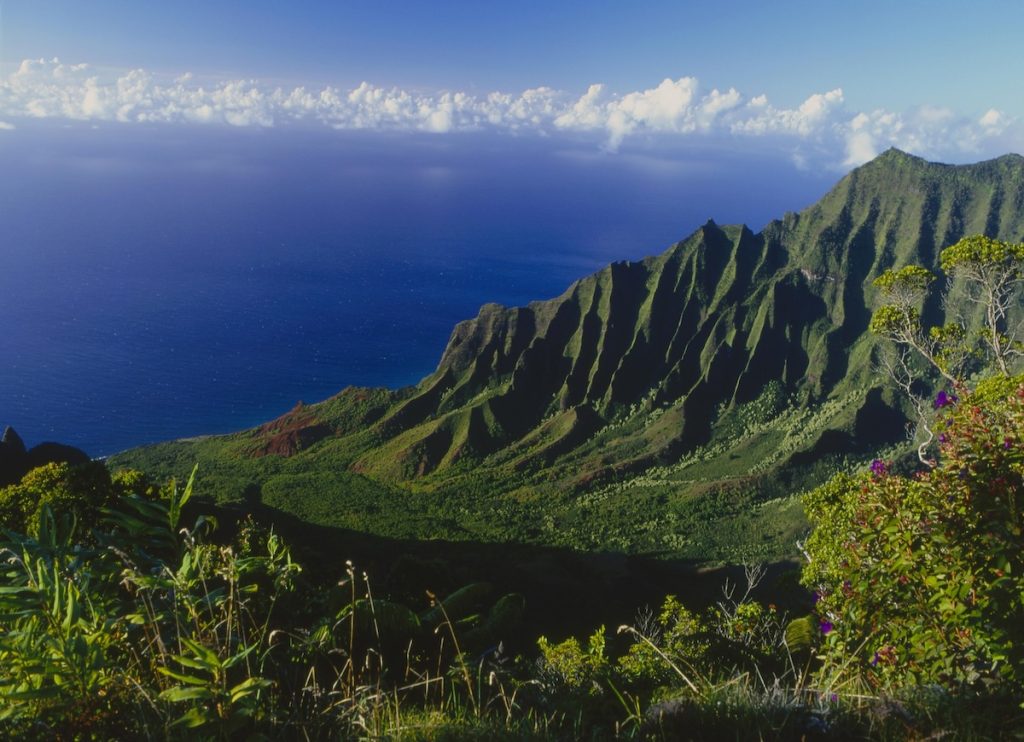 15 Unbelievable Day Trips in Hawaii You Need to Take with Your Family!